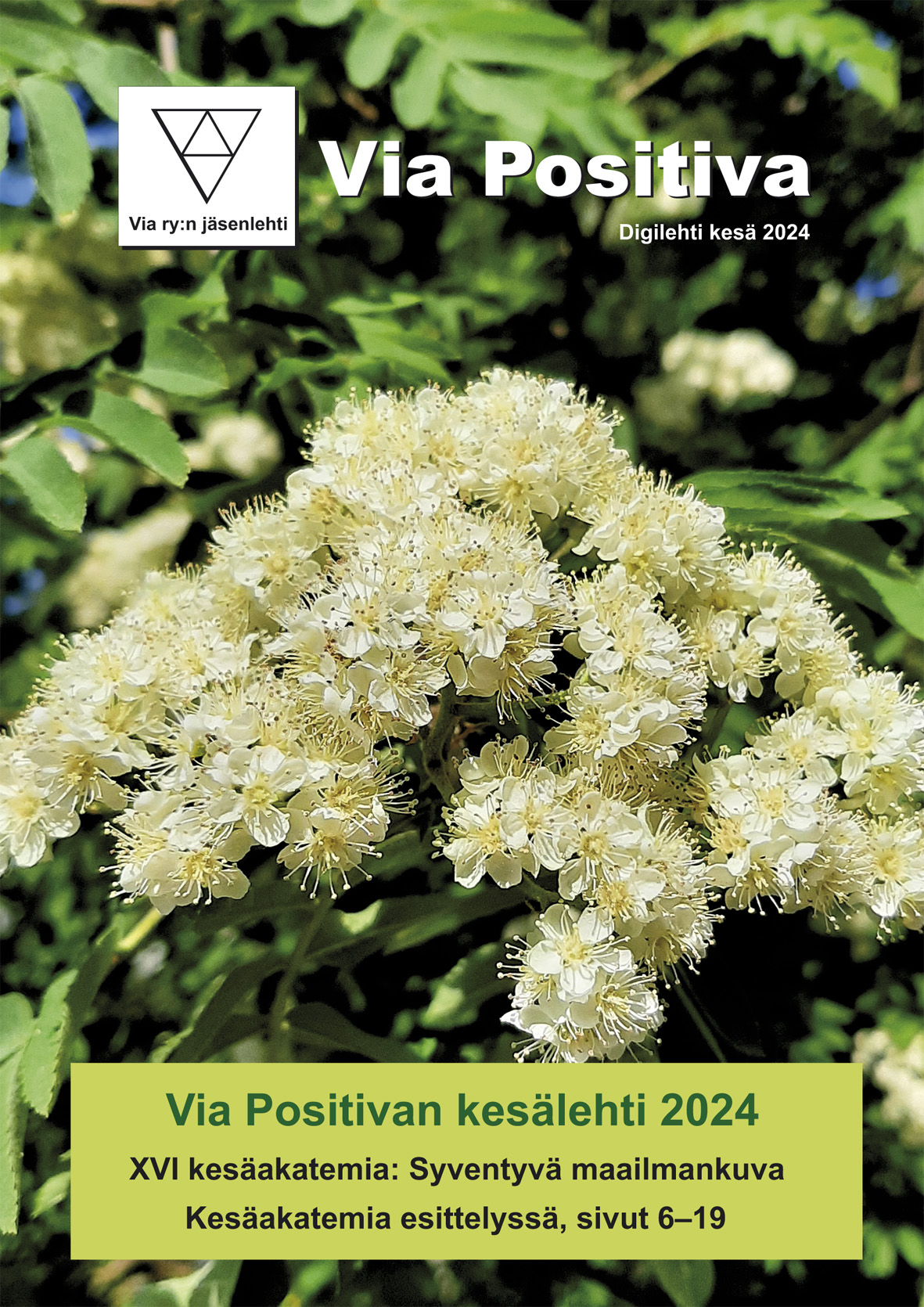 Jäsenlehti Via Positiva